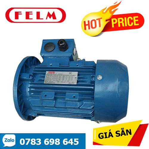 Felm - Motor – Mô tơ/ Độg cơ điện Felm - ANS Vietnam Leading automation ...